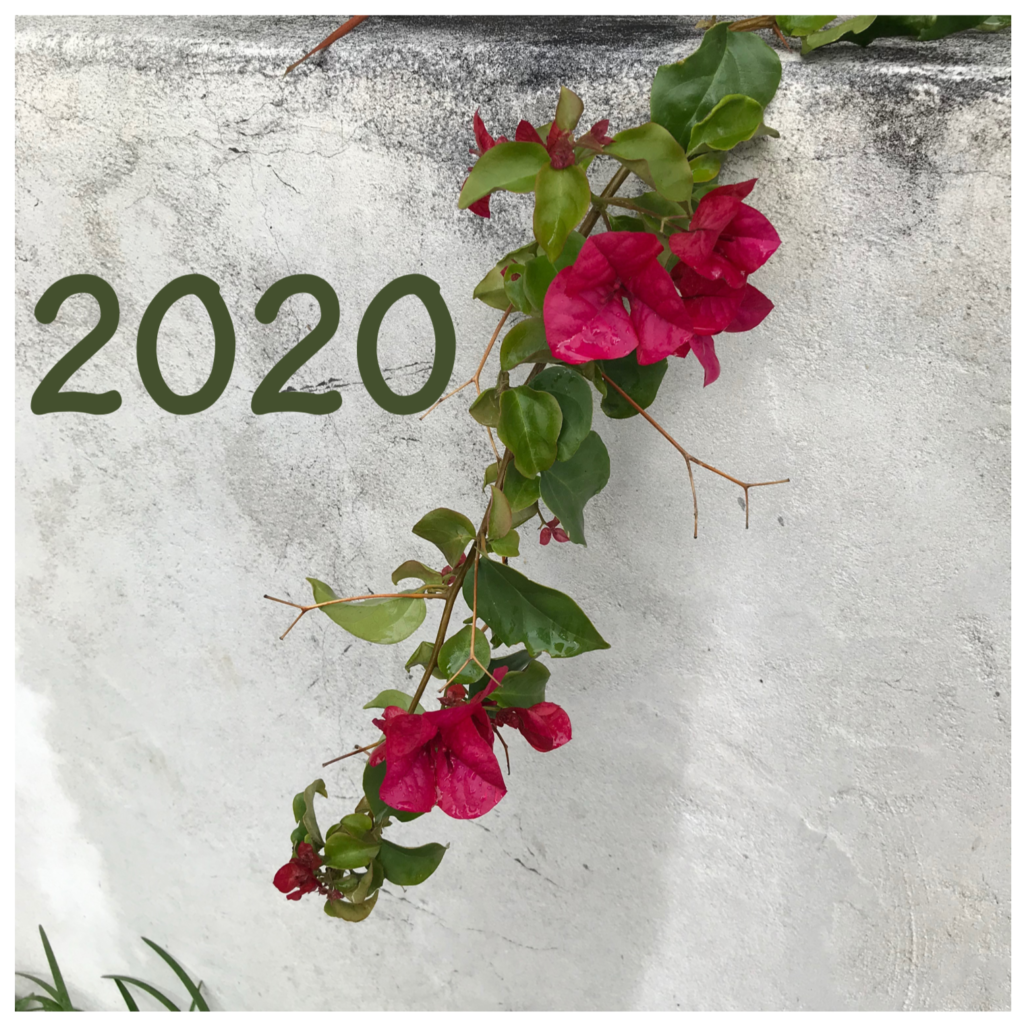 2020 Flower Calendar – Kohler Music Press