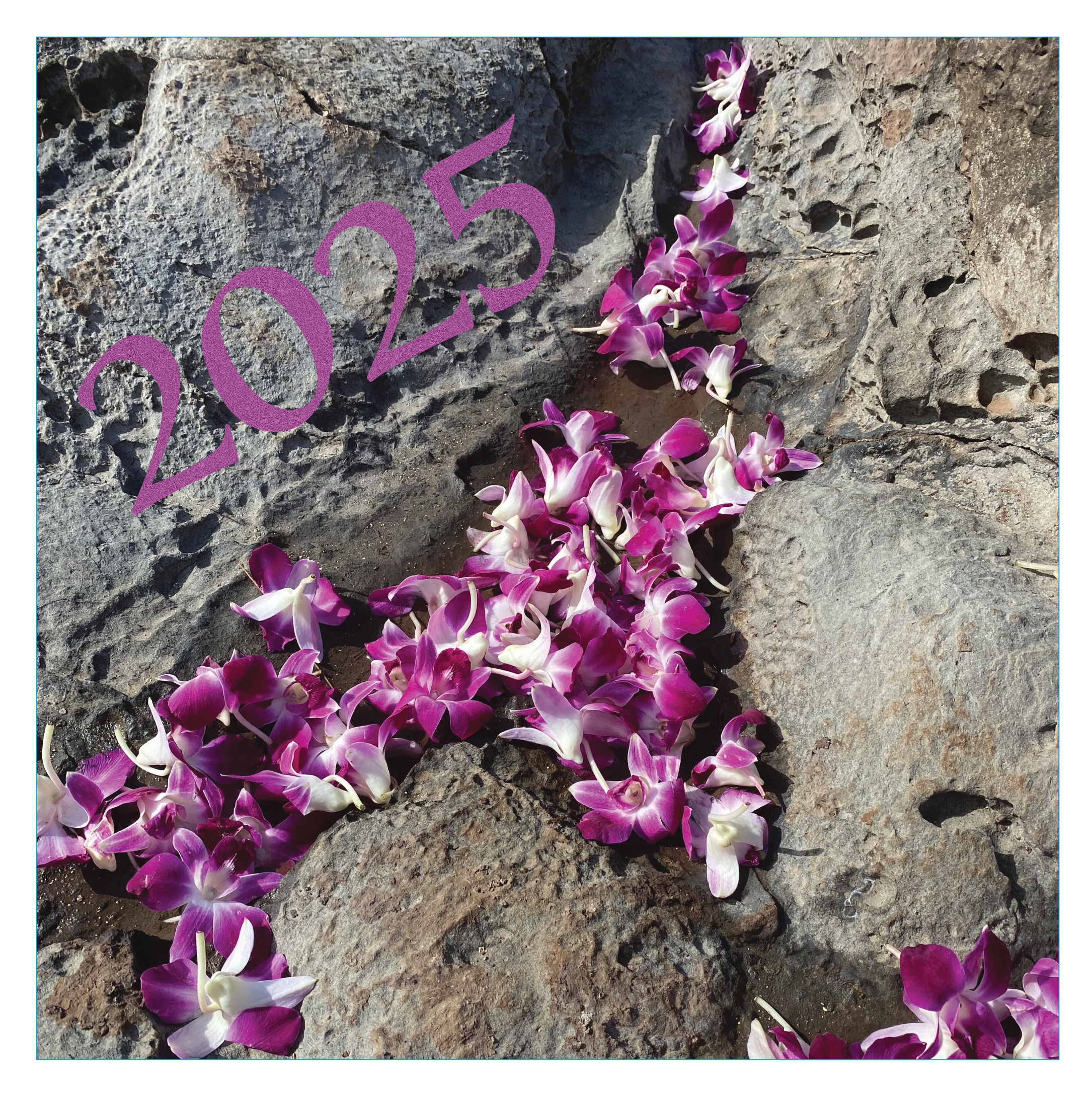 NEW YEAR Price Reduction – 2025 Flower Calendar – Kohler Music Press
